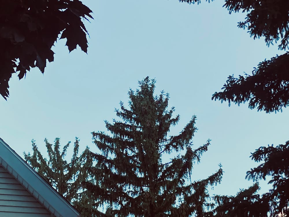 Welcome to Hell World